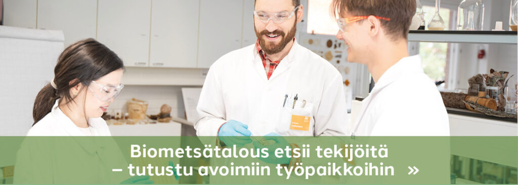 Laborantti, Stora Enson Imatran tehtaat - Puunvuoro